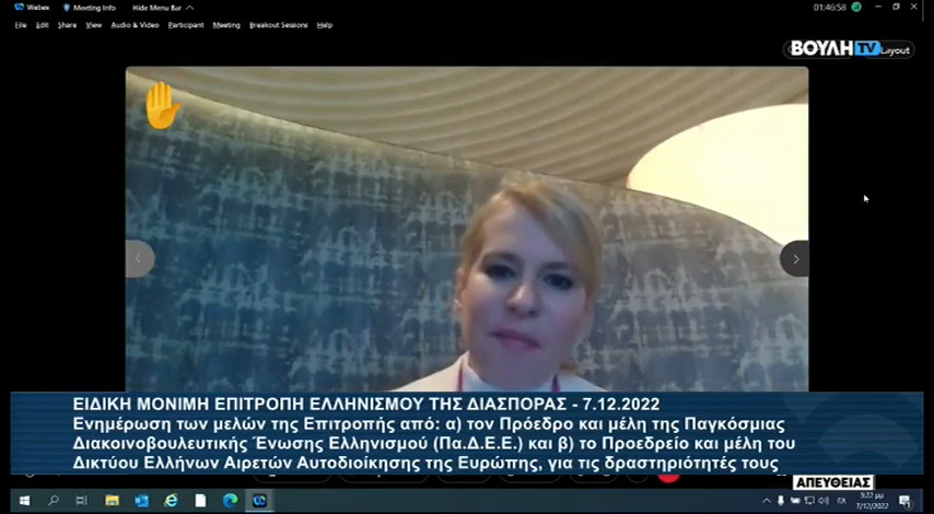 Θεοδώρα Τζάκρη: «Παρέμβαση στη συνεδρίαση της Επιτροπής Ελληνισμού της ...