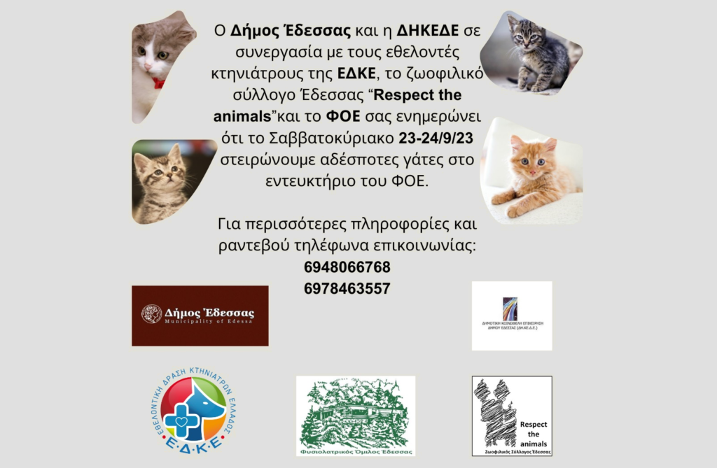 Δήμος Έδεσσας & ΔΗΚΕΔΕ: ''Στείρωση σε αδέσποτες γάτες'' - Εδεσσαϊκός Κόσμος